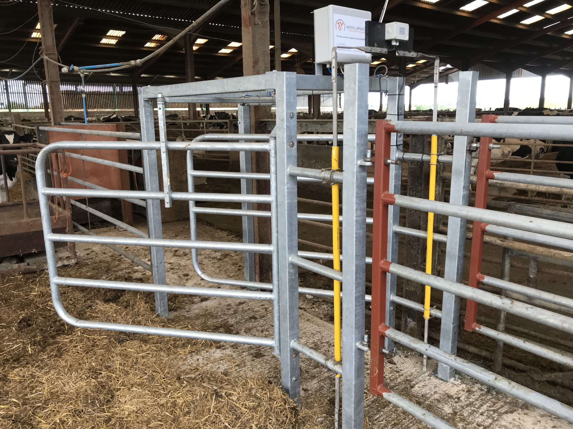 Wooldridge custom built dual or single sort gate | Wooldridge Milking ...